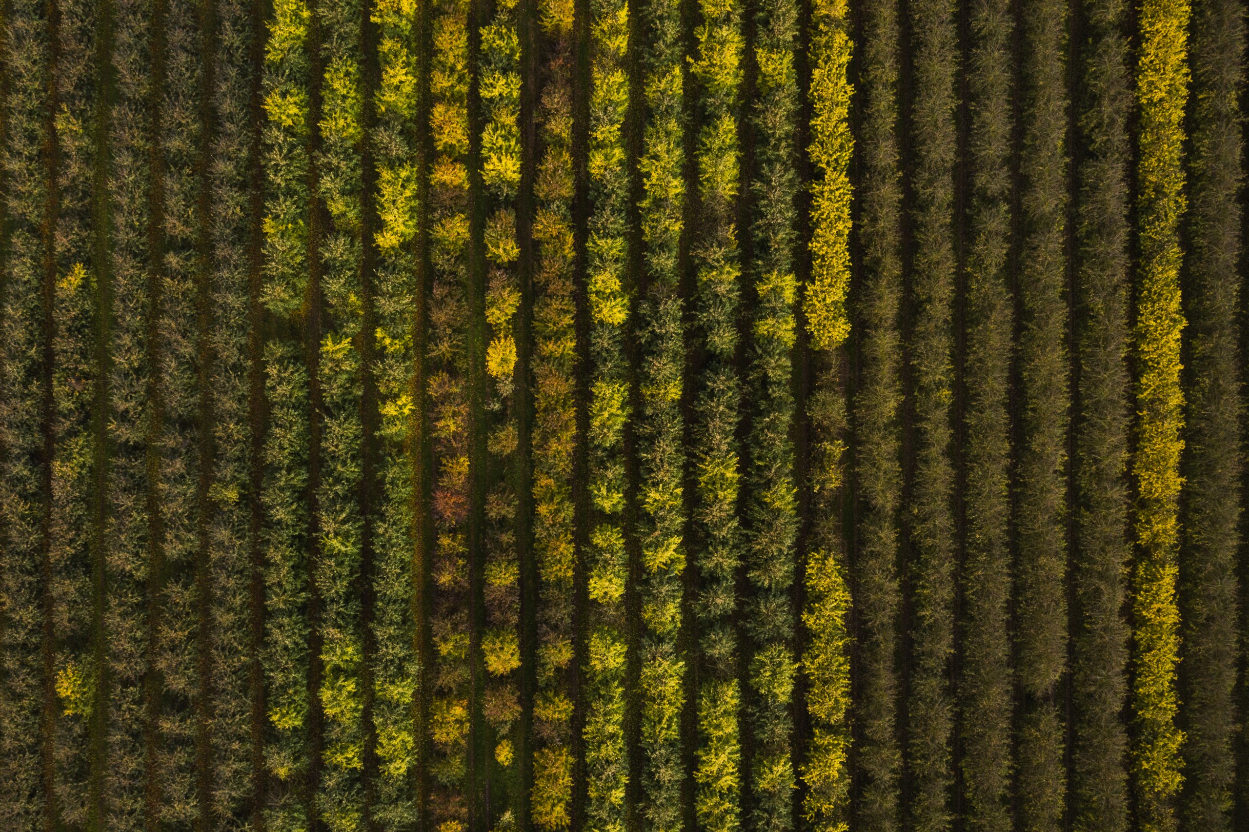 Taking actions on climate - Agrial