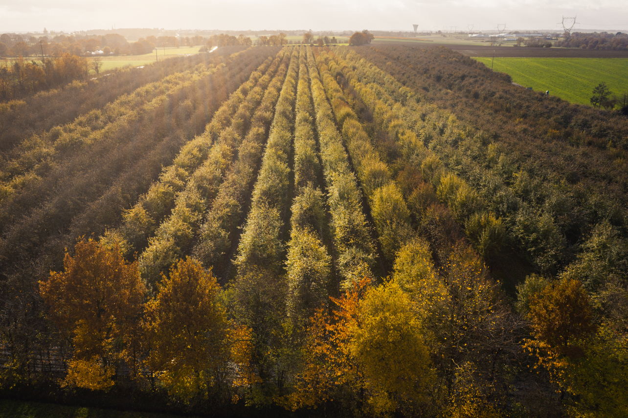 Agrial, première coopérative française certifiée SBTi - Agrial