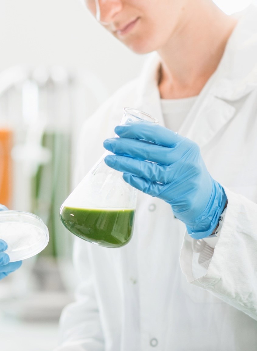 Soutenir l'innovation - Agrial