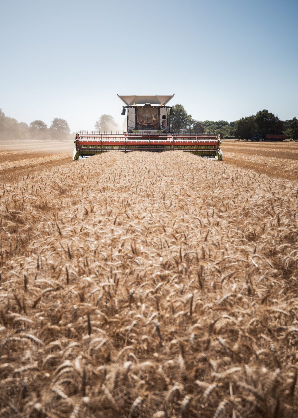 Agricultural division - Agrial