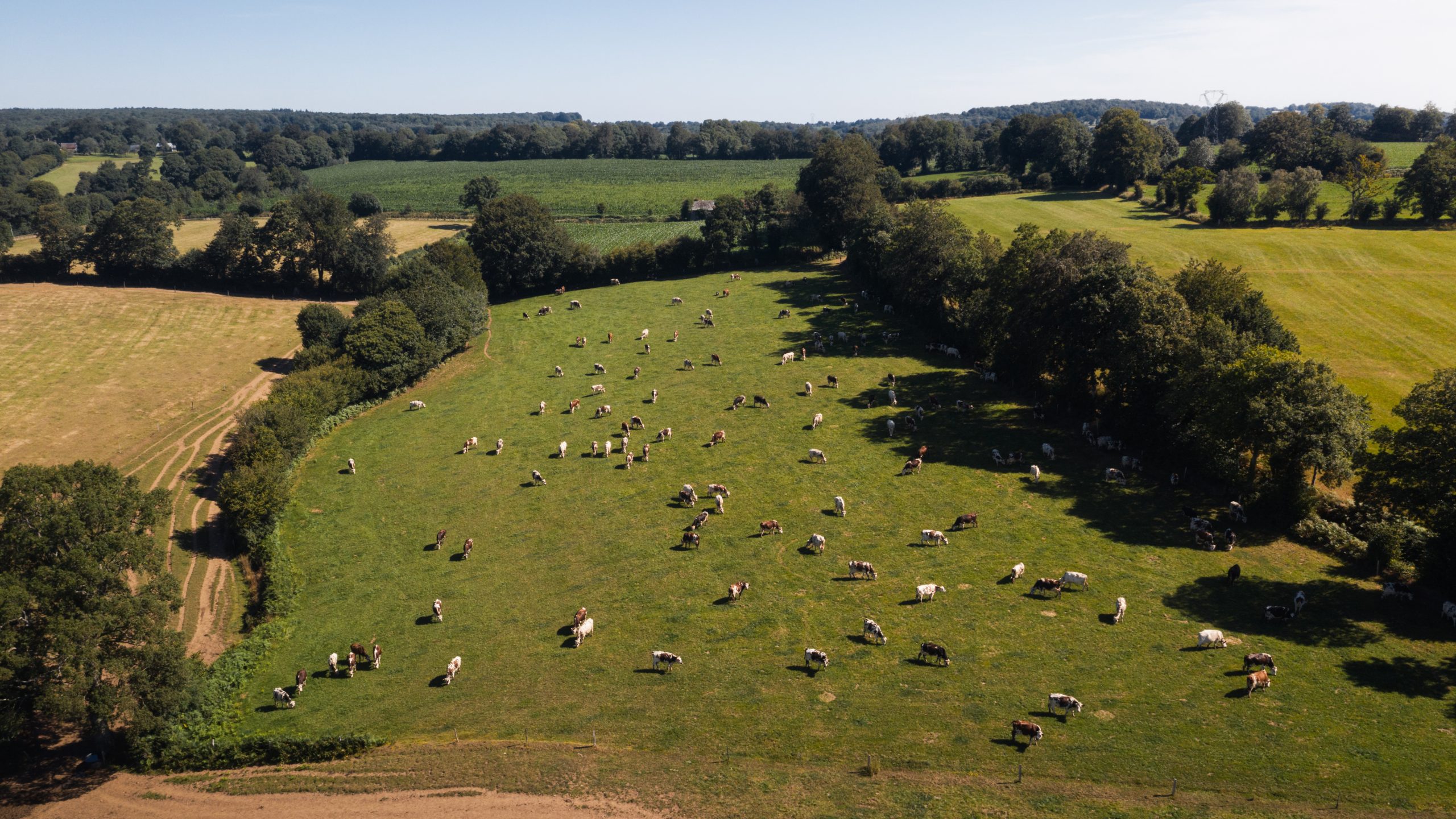 Grand Fermage acts in favour of biodiversity! - Agrial