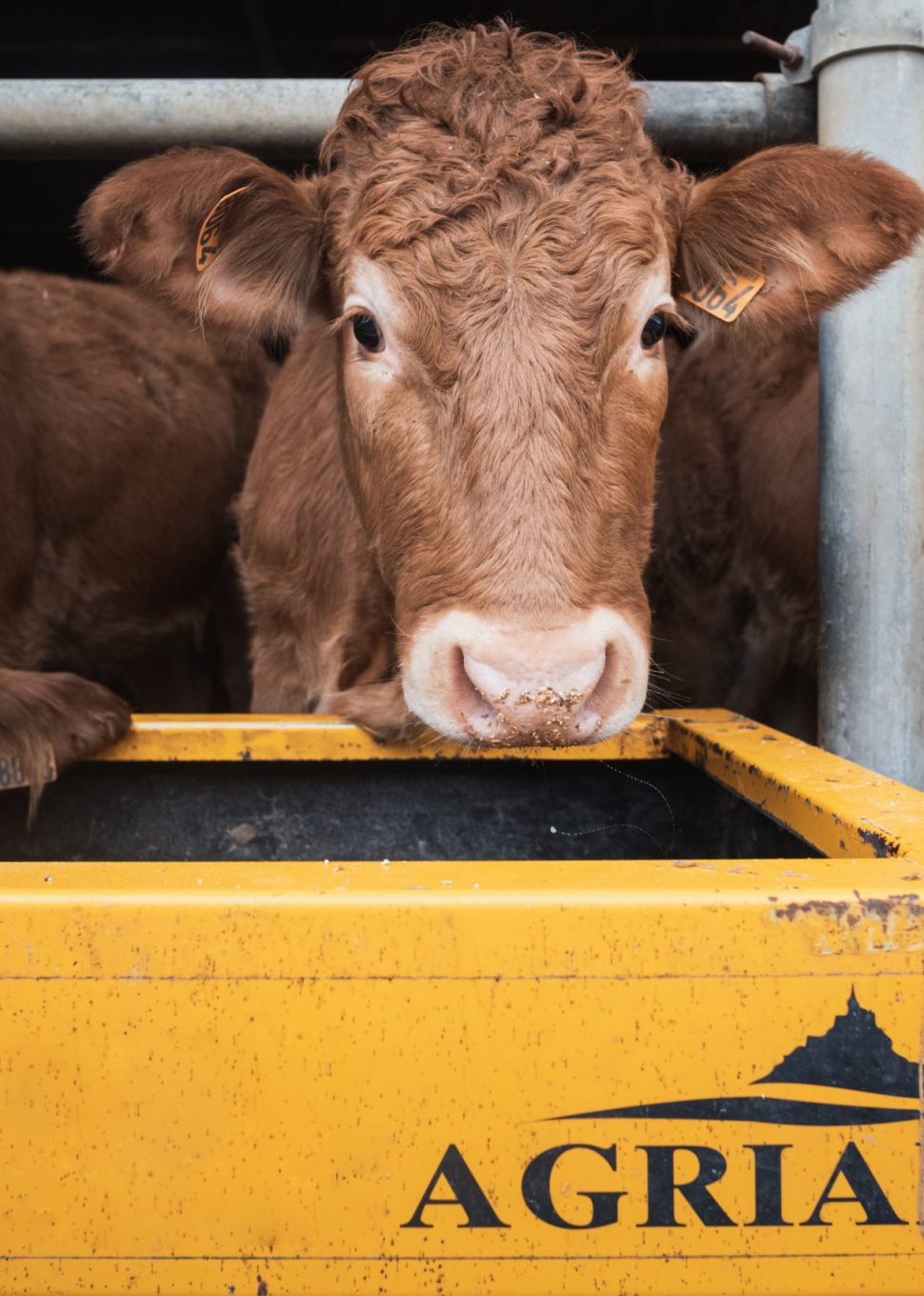 Agricultural division - Agrial