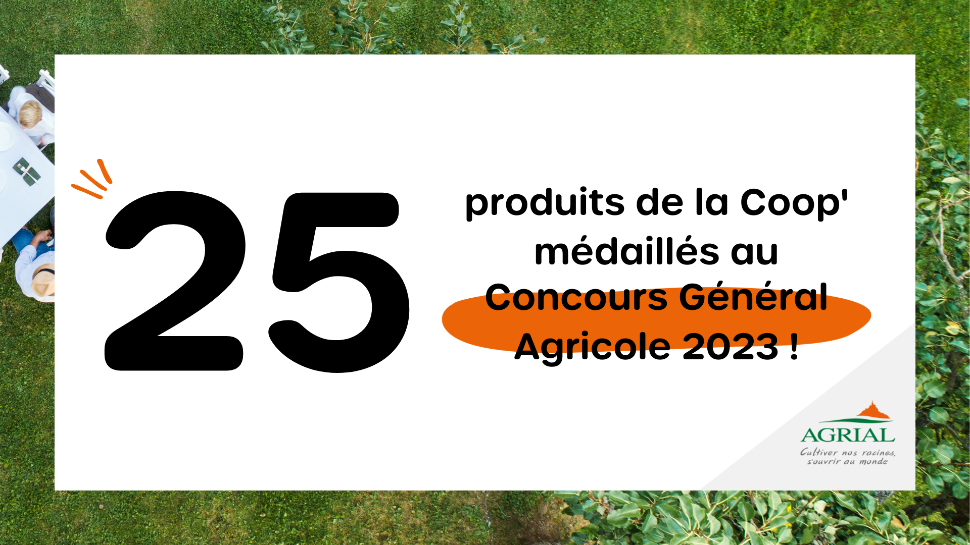 25 produits de la Coop’ médaillés au Concours Général Agricole ! - Agrial