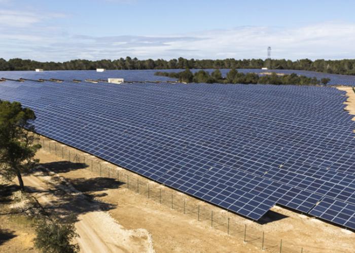 Agrial: Cooperativa agrícola y agroalimentaria francesa