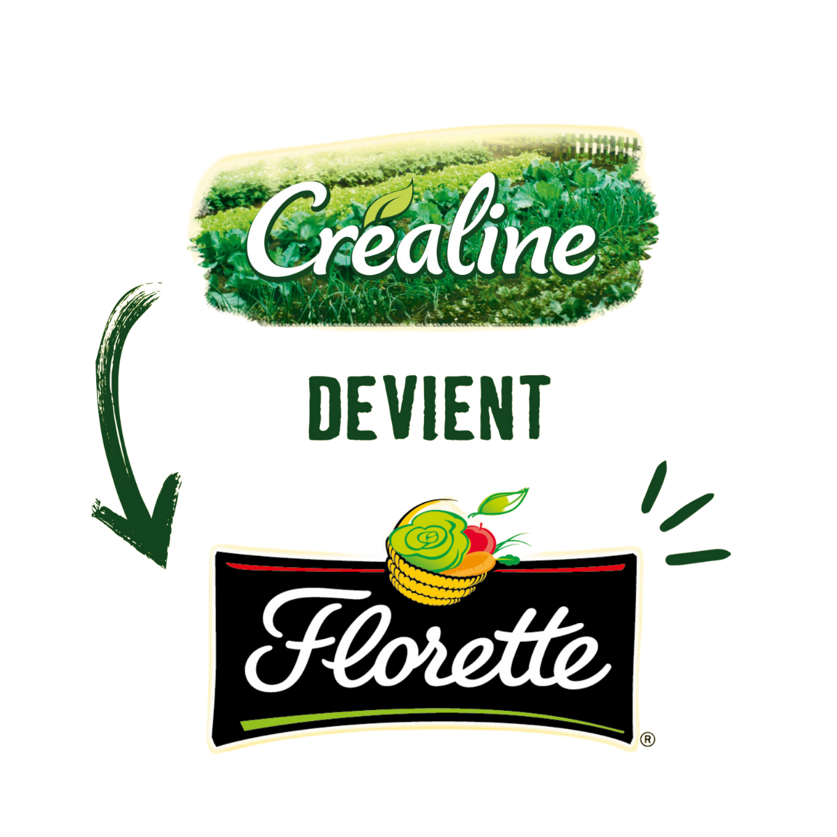 Désormais, Florette cuisine ses légumes ! - Agrial